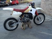 1988 Yz 250